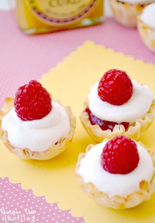 Lemon-Raspberry Phyllo Tarts – Lemon Tree Dwelling