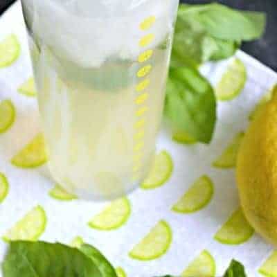 Lemon Basil Spritzer – Lemon Tree Dwelling