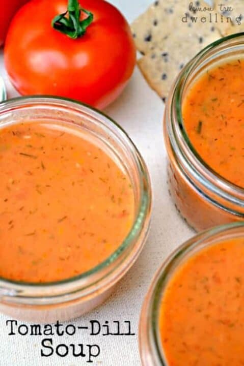 Tomato-Dill Soup – Lemon Tree Dwelling