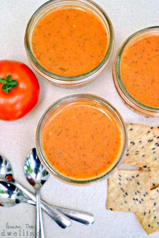 Tomato-Dill Soup – Lemon Tree Dwelling