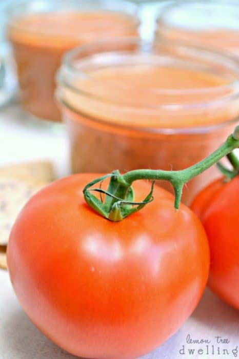 Tomato-Dill Soup – Lemon Tree Dwelling