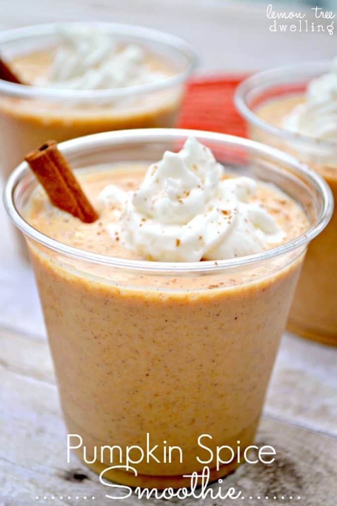 Pumpkin Spice Smoothie – Lemon Tree Dwelling