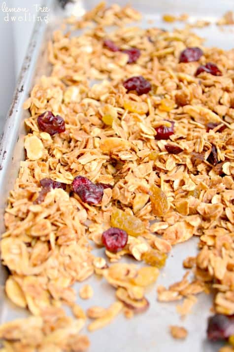 Harvest Granola – Lemon Tree Dwelling