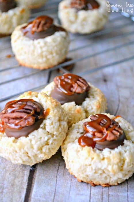 Turtle Thumbprint Macaroons