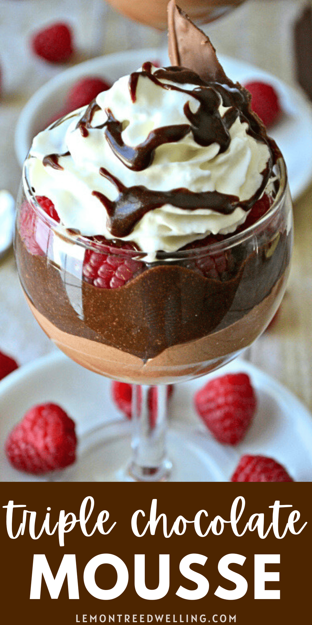 Triple Chocolate Raspberry Mousse
