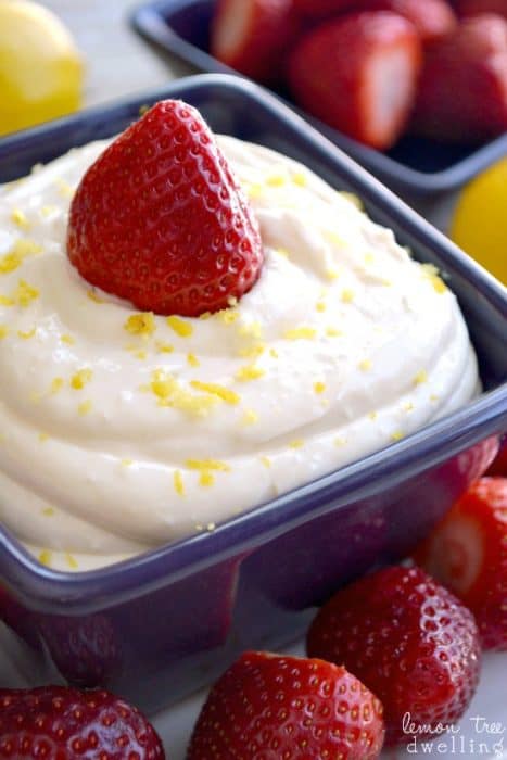 Creamy Lemon Dip – Lemon Tree Dwelling