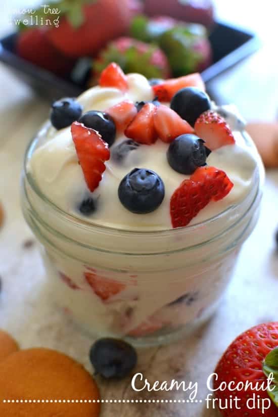 Creamy Coconut Fruit Dip – Lemon Tree Dwelling