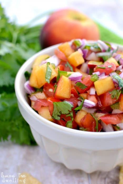 Fresh Peach Salsa – Lemon Tree Dwelling