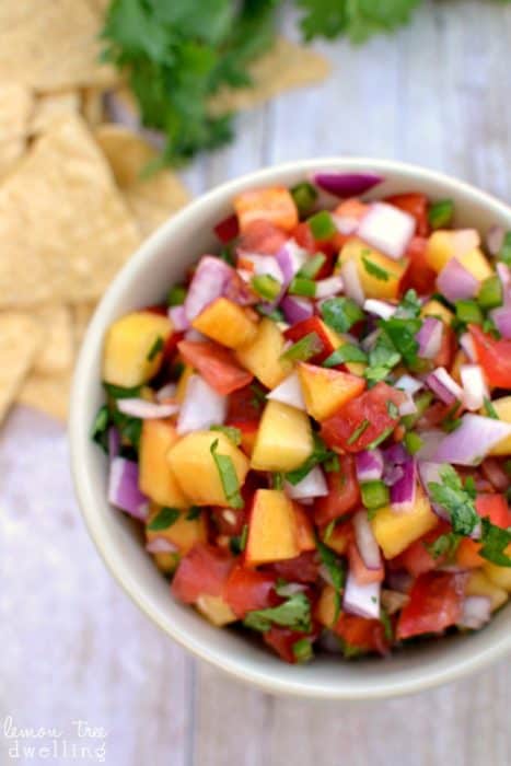 Fresh Peach Salsa – Lemon Tree Dwelling