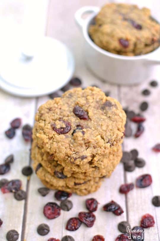 Chocolate Cranberry Coconut Monster Cookies – Lemon Tree Dwelling