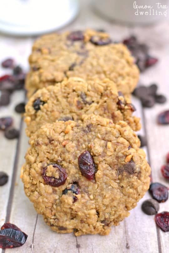Chocolate Cranberry Coconut Monster Cookies – Lemon Tree Dwelling