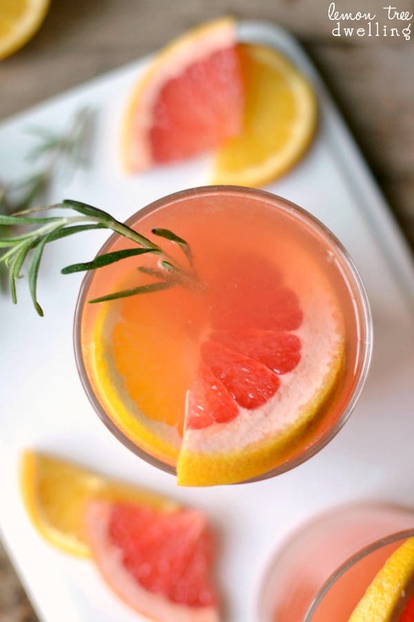Ruby Red Rosemary Cocktail – Lemon Tree Dwelling