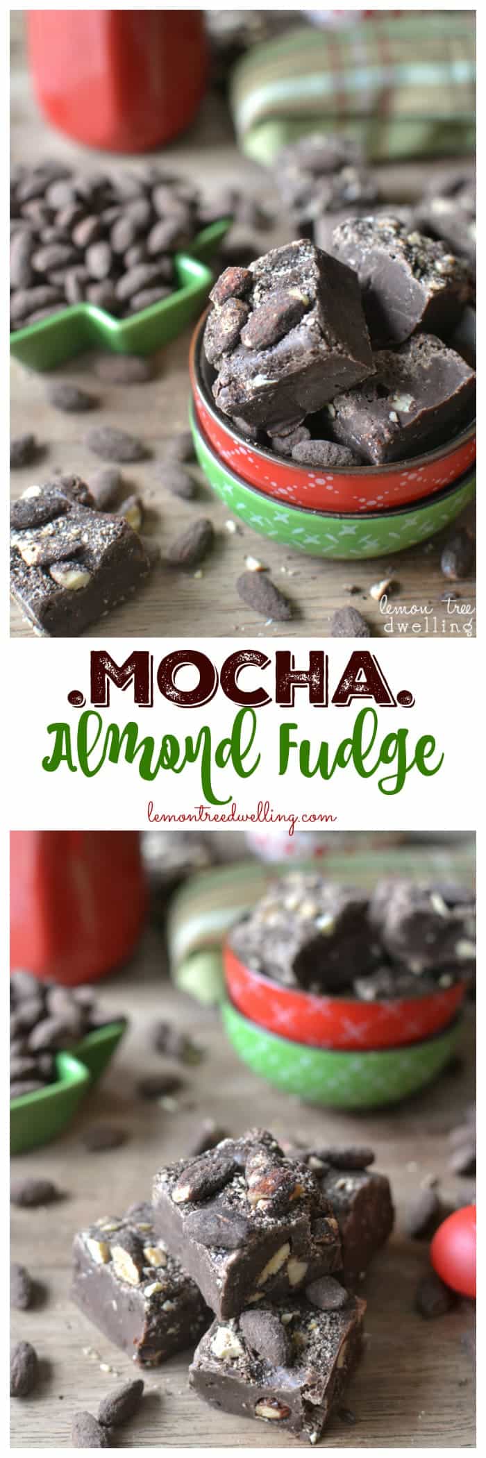 Mocha Almond Fudge | Lemon Tree Dwelling