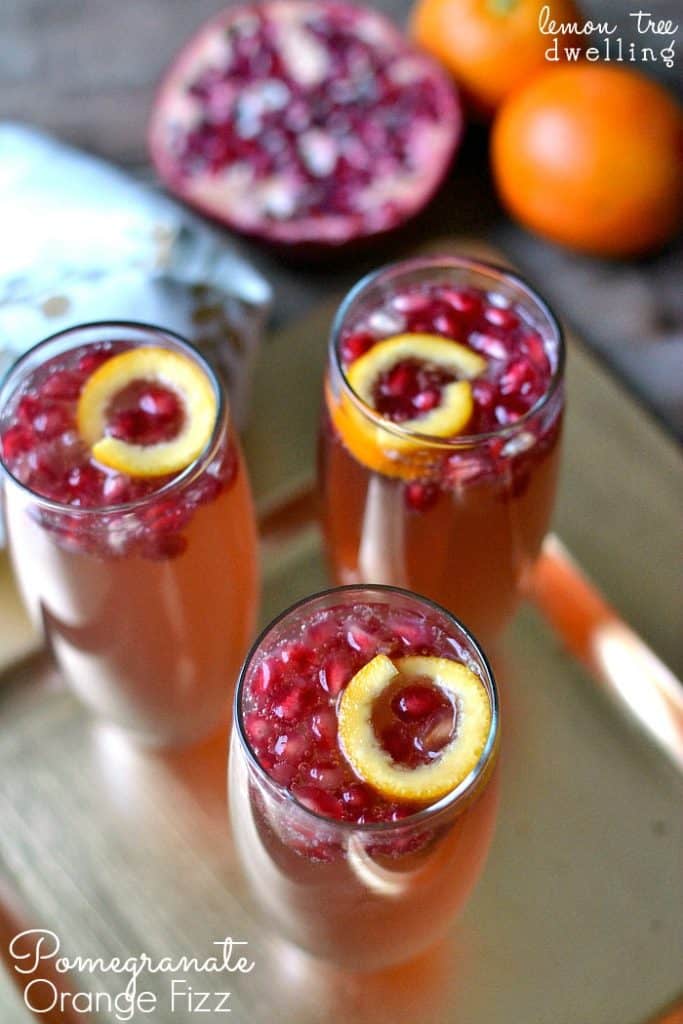Pomegranate Orange Fizz – Lemon Tree Dwelling