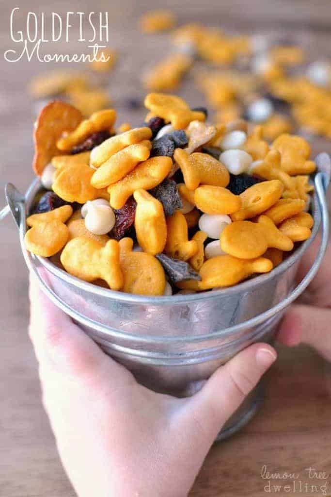 Goldfish® Crackers Snack Mix – Lemon Tree Dwelling