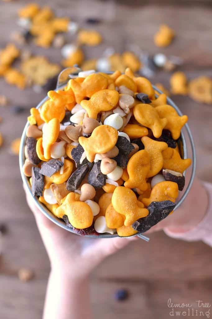 Goldfish® Crackers Snack Mix – Lemon Tree Dwelling