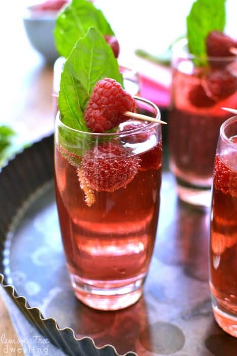 Raspberry Basil Champagne Spritzers – Lemon Tree Dwelling