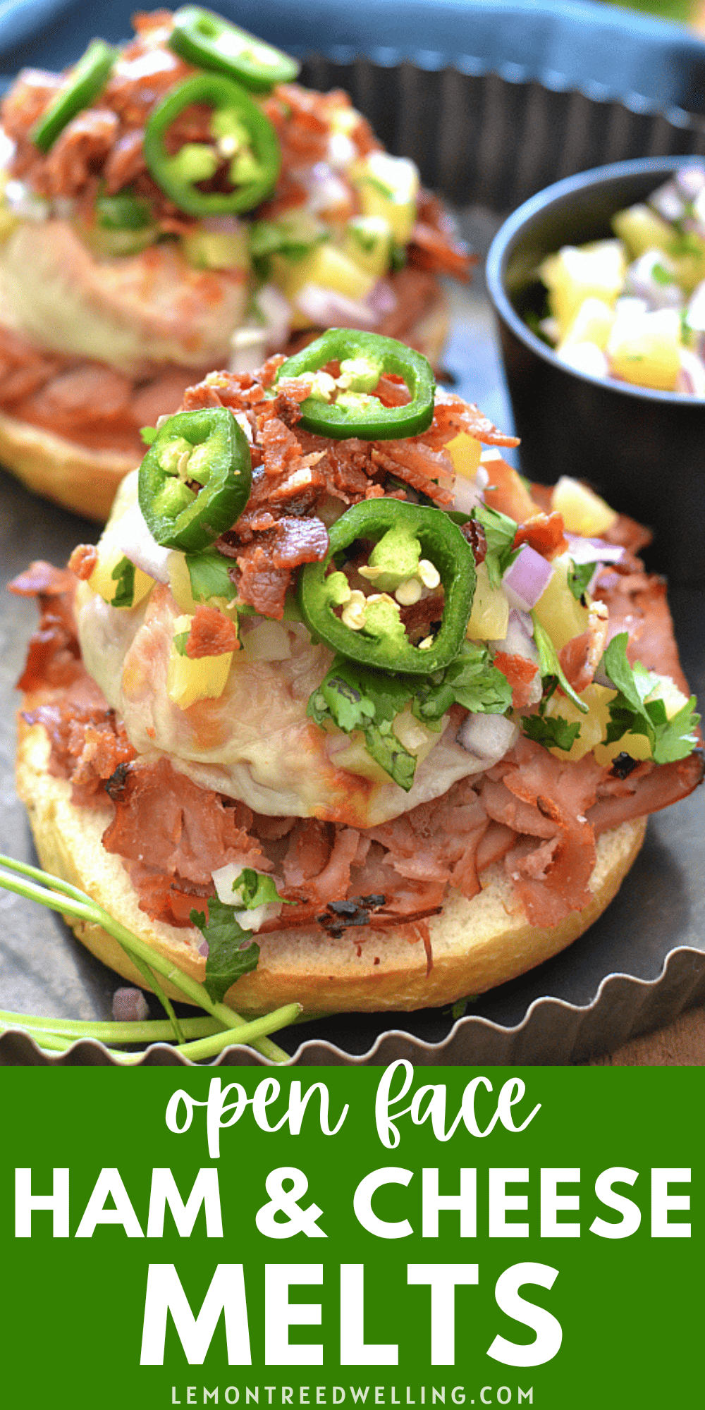 Open Face Ham & Cheese Melts – Lemon Tree Dwelling