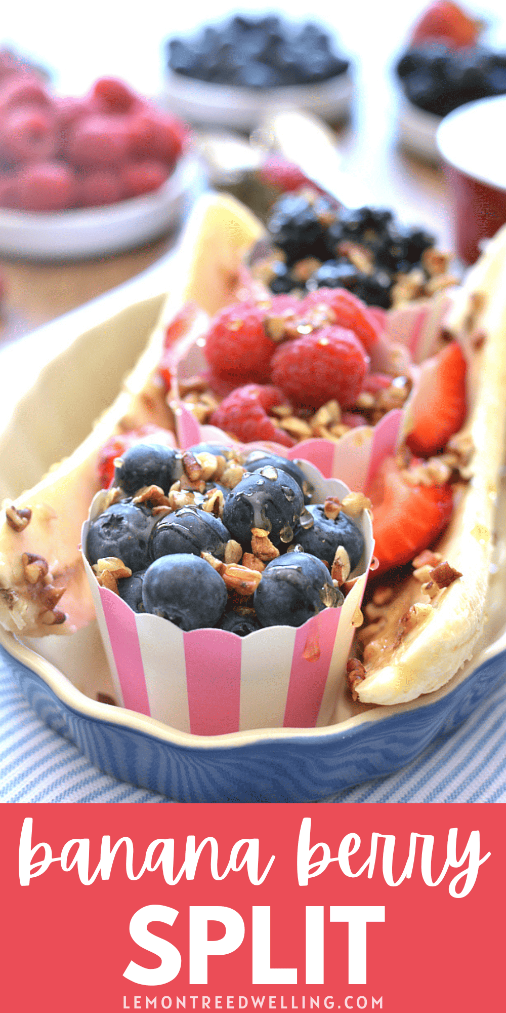 Banana Berry Split – Lemon Tree Dwelling