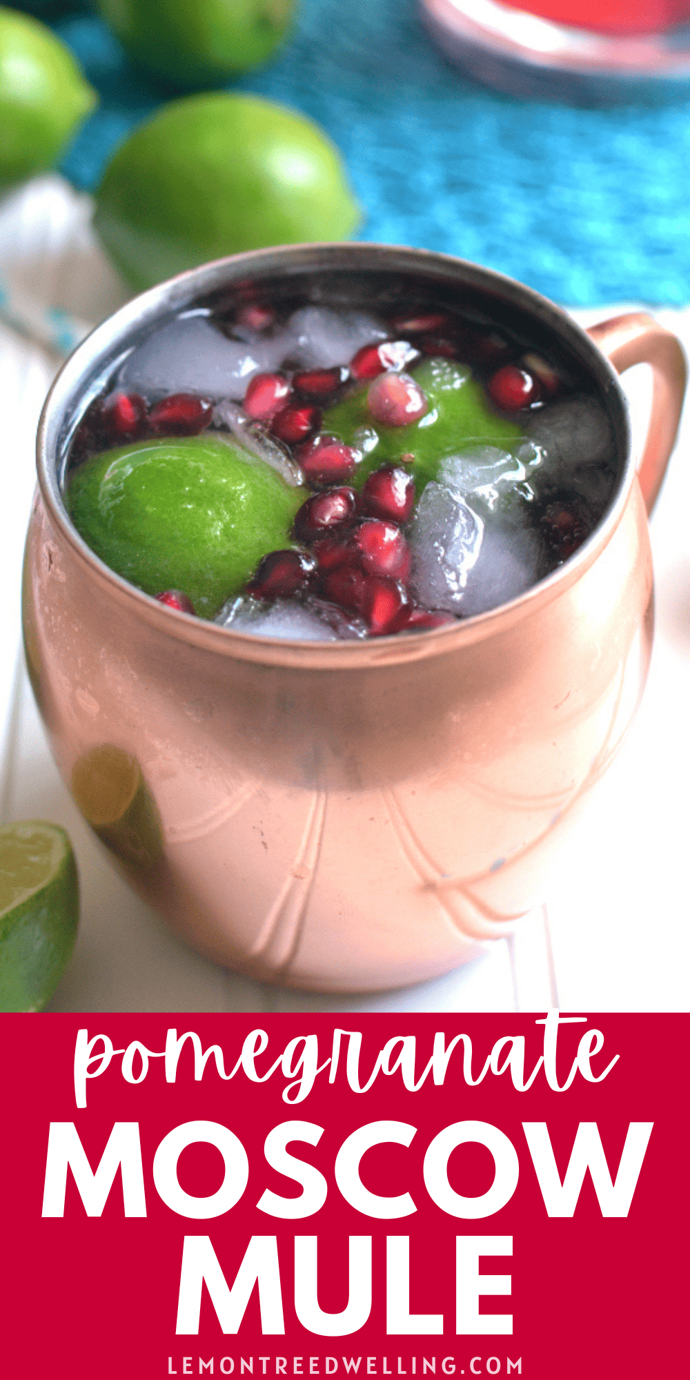 Pomegranate Moscow Mules – Lemon Tree Dwelling