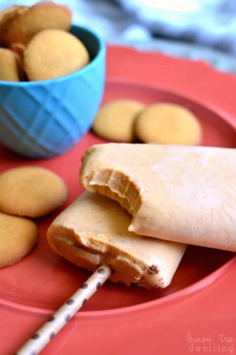 Skinny Pumpkin Pie Popsicles – Lemon Tree Dwelling