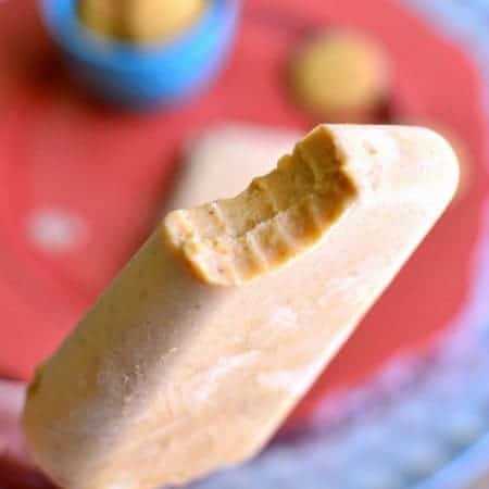 Skinny Pumpkin Pie Popsicles – Lemon Tree Dwelling