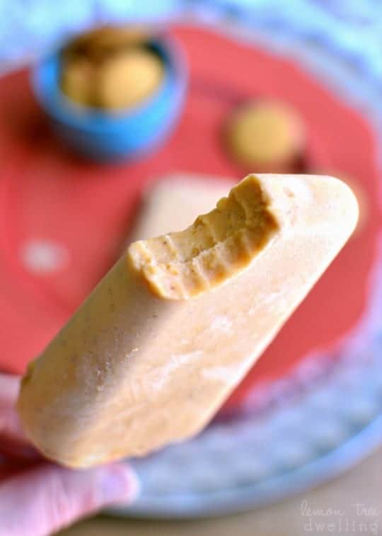 Skinny Pumpkin Pie Popsicles – Lemon Tree Dwelling