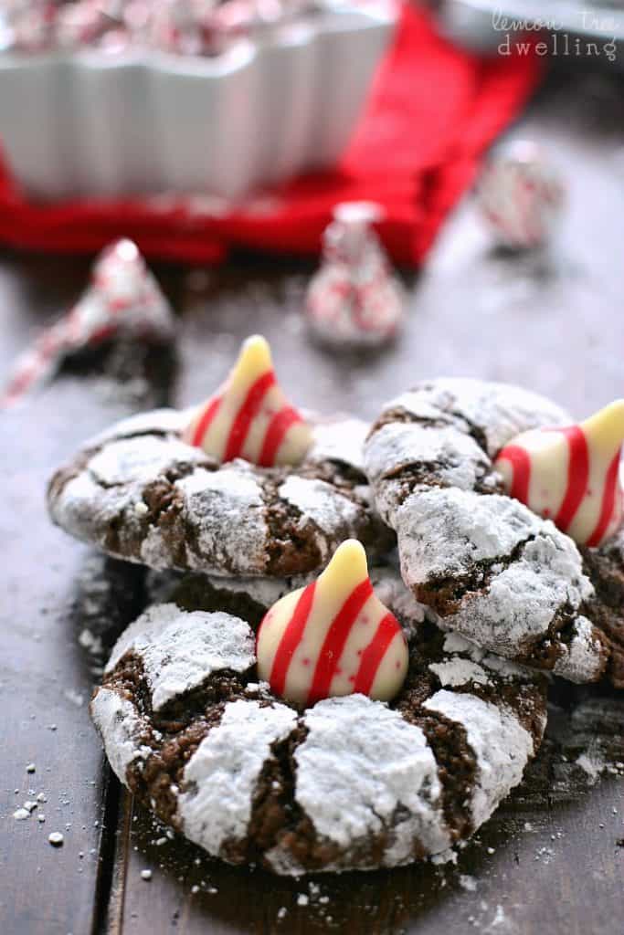 Chocolate Peppermint Blossoms