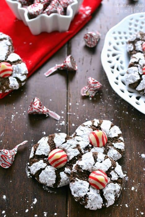 Chocolate Peppermint Blossoms
