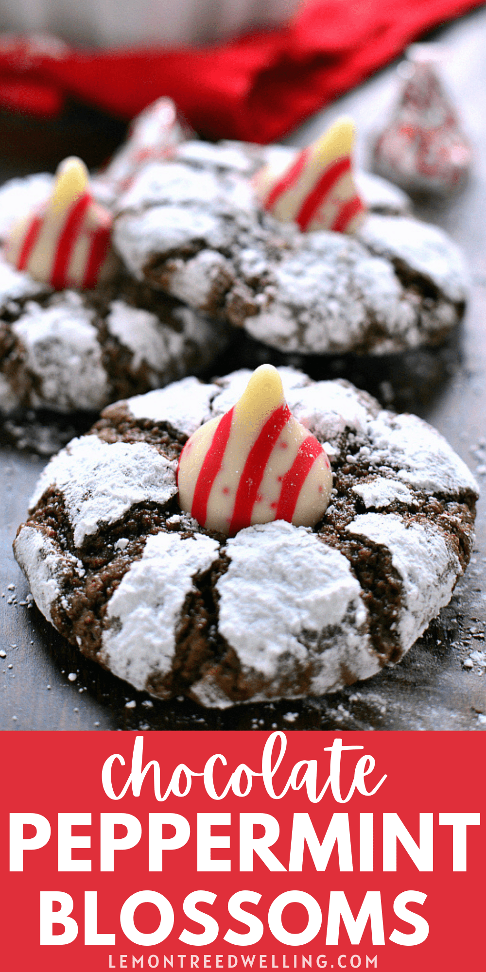 Chocolate Peppermint Blossoms