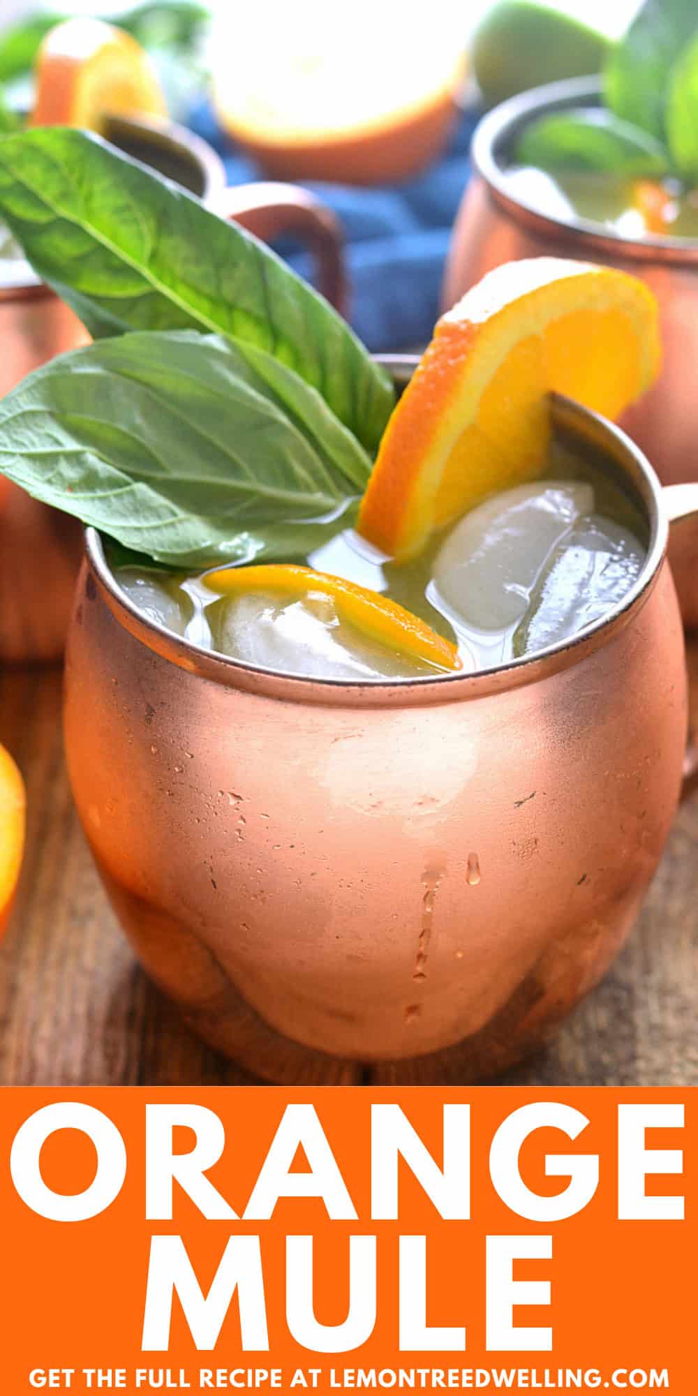 Orange Moscow Mules