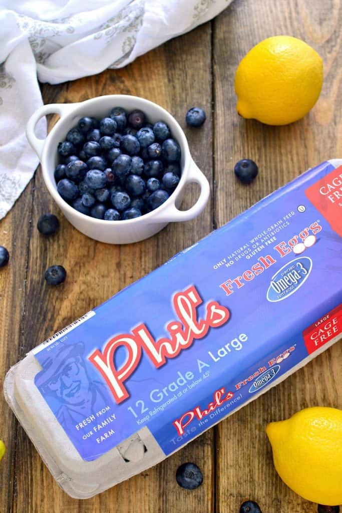 Blueberry Lemon Bars – Lemon Tree Dwelling