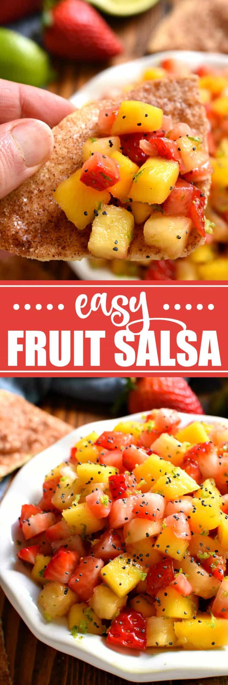 Best Fruit Salsa – Lemon Tree Dwelling