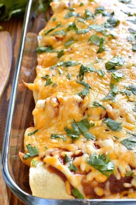 BBQ Chicken Enchiladas – Lemon Tree Dwelling