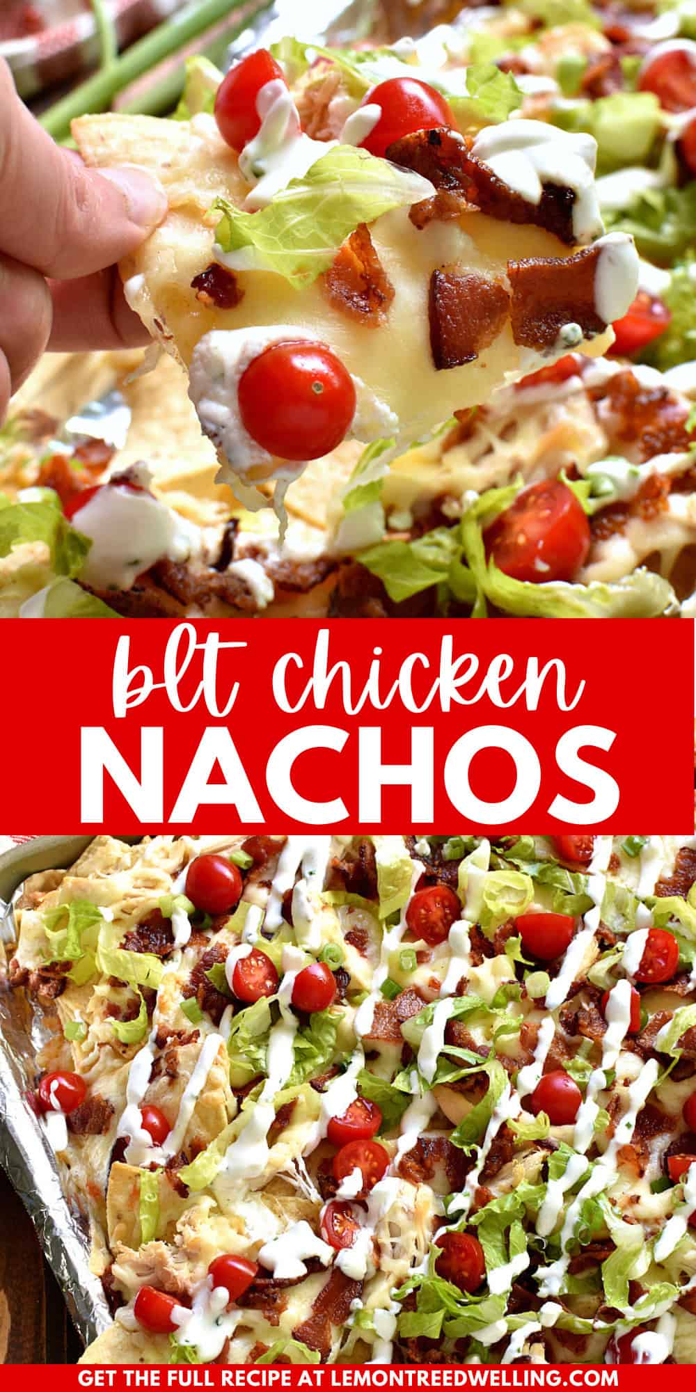 BLT Chicken Nachos – Lemon Tree Dwelling