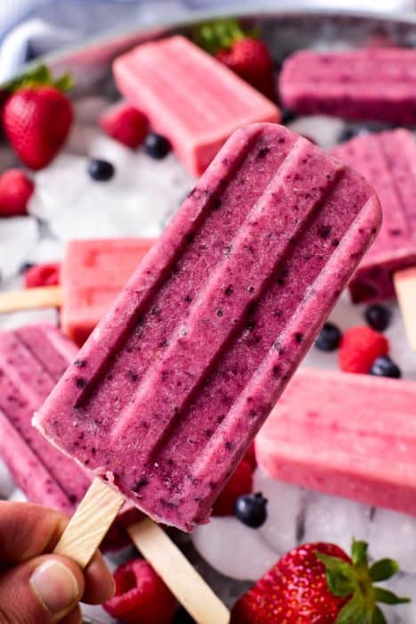 Fruit Smoothie Popsicles – Lemon Tree Dwelling
