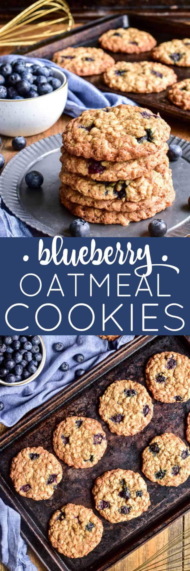 Blueberry Oatmeal Cookies – Lemon Tree Dwelling