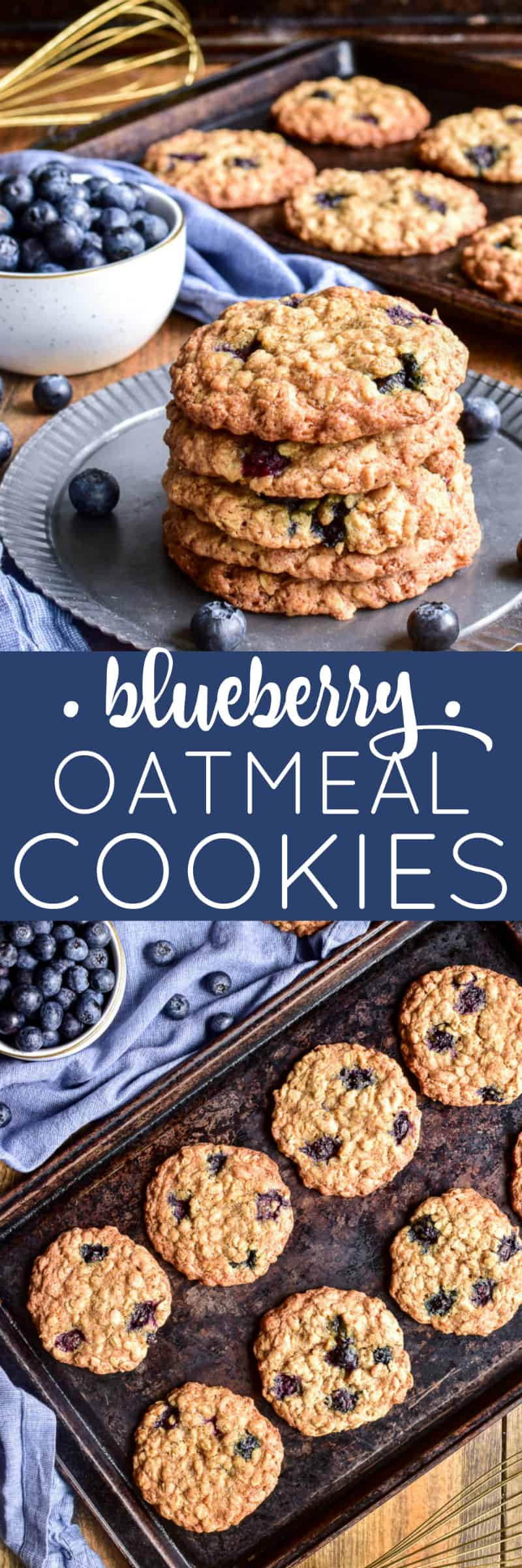Blueberry Oatmeal Cookies – Lemon Tree Dwelling