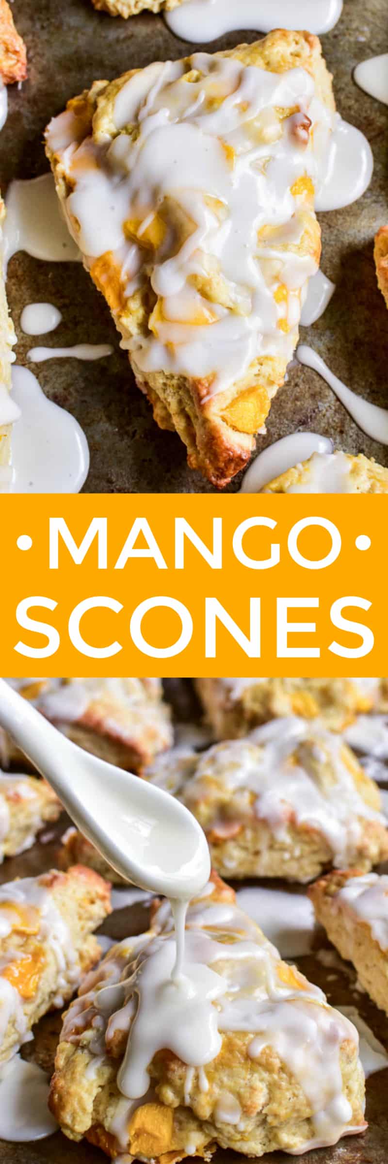 Bakery Style Mango Scones – Lemon Tree Dwelling