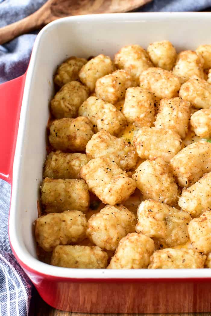 Tater Tot Casserole (Hotdish) – Lemon Tree Dwelling