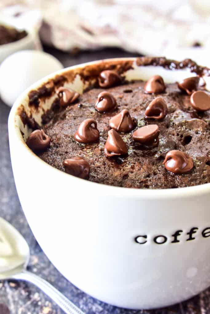 Chocolate Mug Cake – Lemon Tree Dwelling