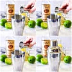 Gimlet – Lemon Tree Dwelling