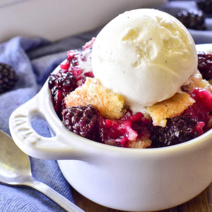 Blackberry Cobbler – Lemon Tree Dwelling