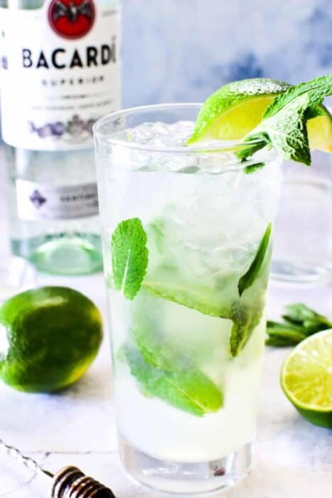 Mojito – Lemon Tree Dwelling