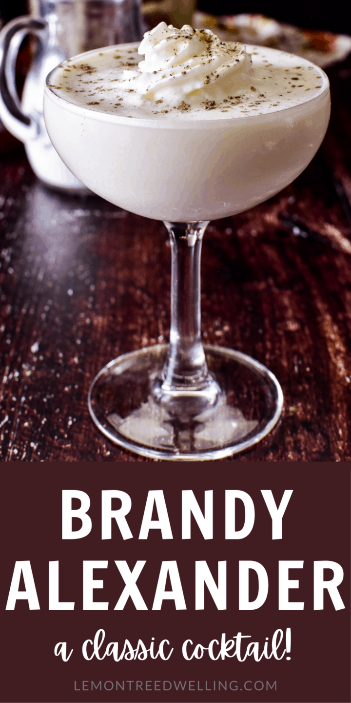 Brandy Alexander – Lemon Tree Dwelling
