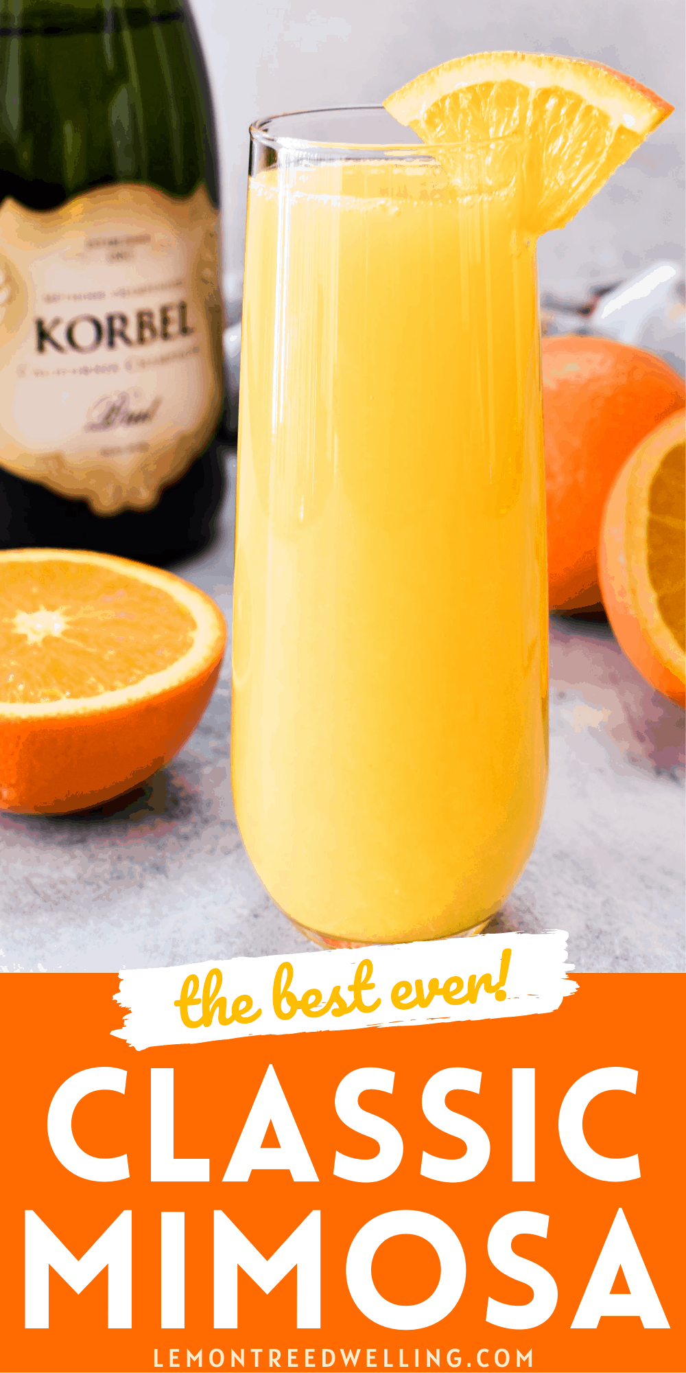 Mimosa – Lemon Tree Dwelling