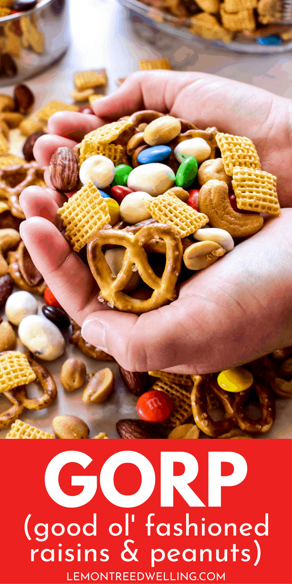 GORP – Lemon Tree Dwelling