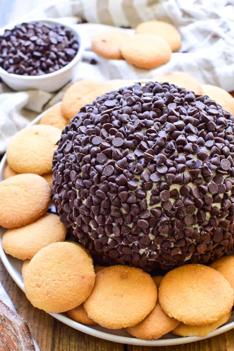 Chocolate Chip Cheese Ball – Lemon Tree Dwelling