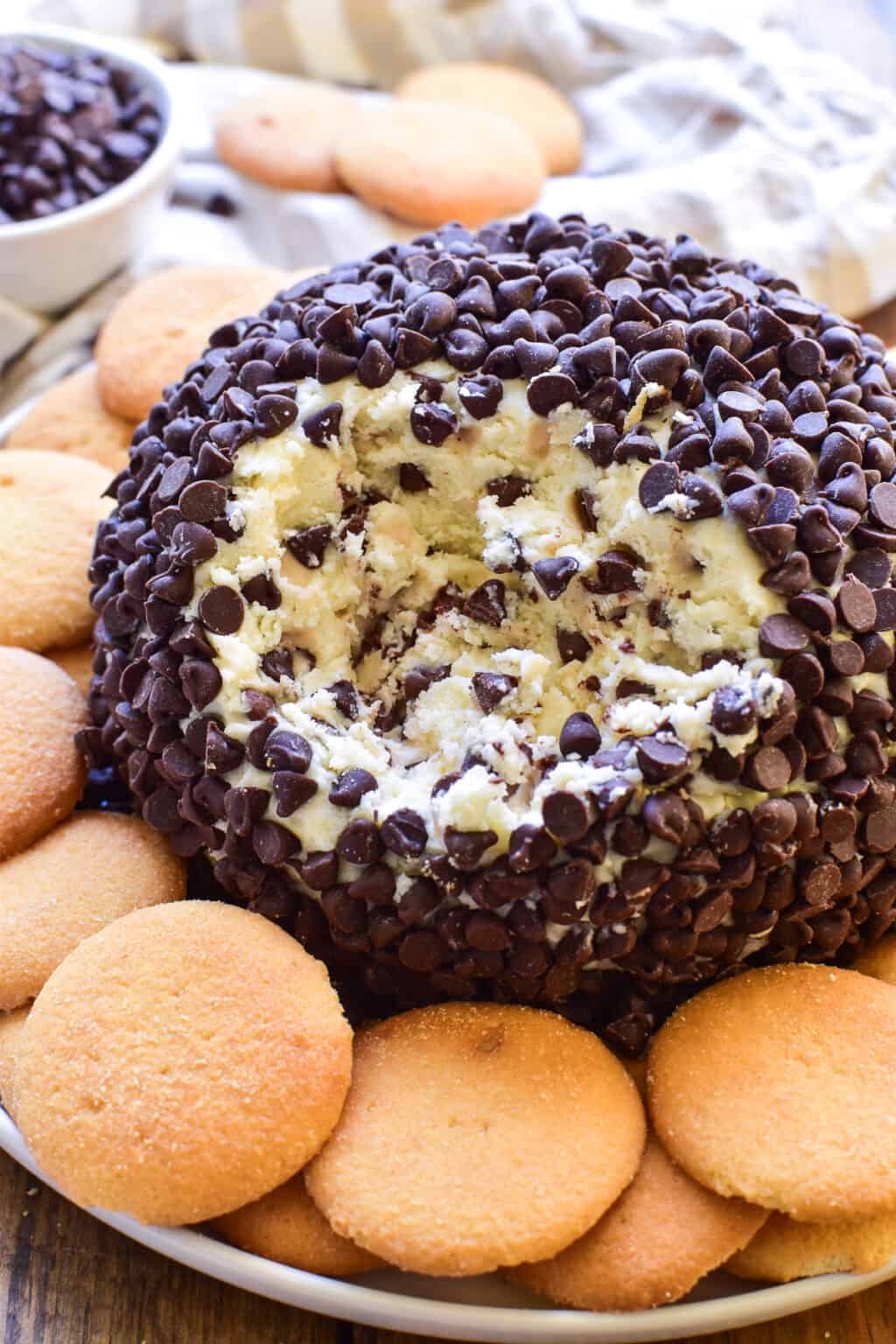 Chocolate Chip Cheese Ball – Lemon Tree Dwelling