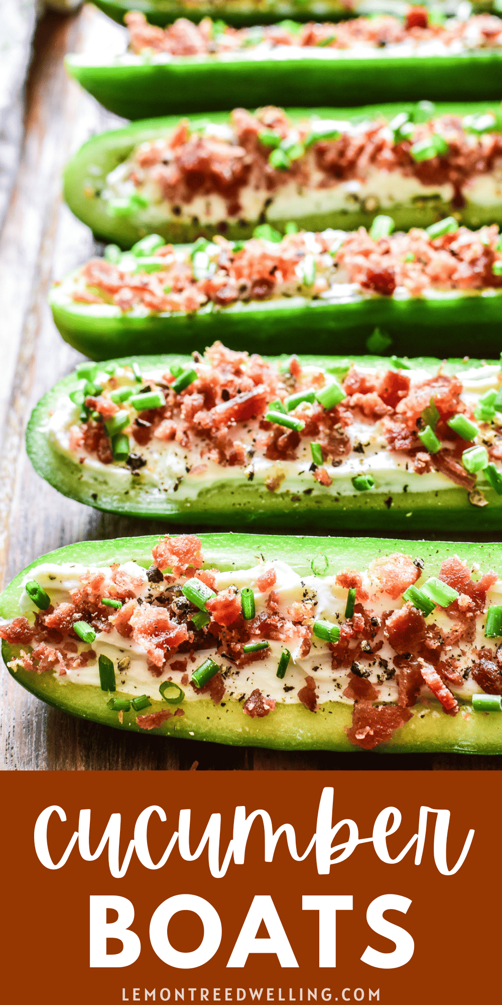 Bacon Cream Cheese Cucumber Boats – Lemon Tree Dwelling